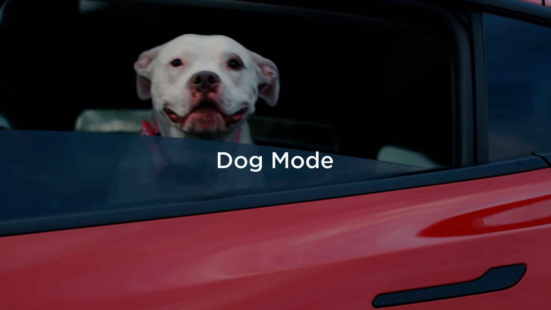 Tesla представила новое видео о «заботливом» режиме Dog Mode – HEvCars
